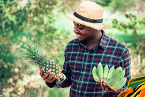 Home - Fertilizer Producers & Suppliers Association of Nigeria (FEPSAN)