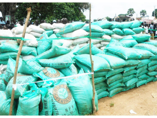 Adamawa govt to revamp abandoned fertilizer plant - Fertilizer ...